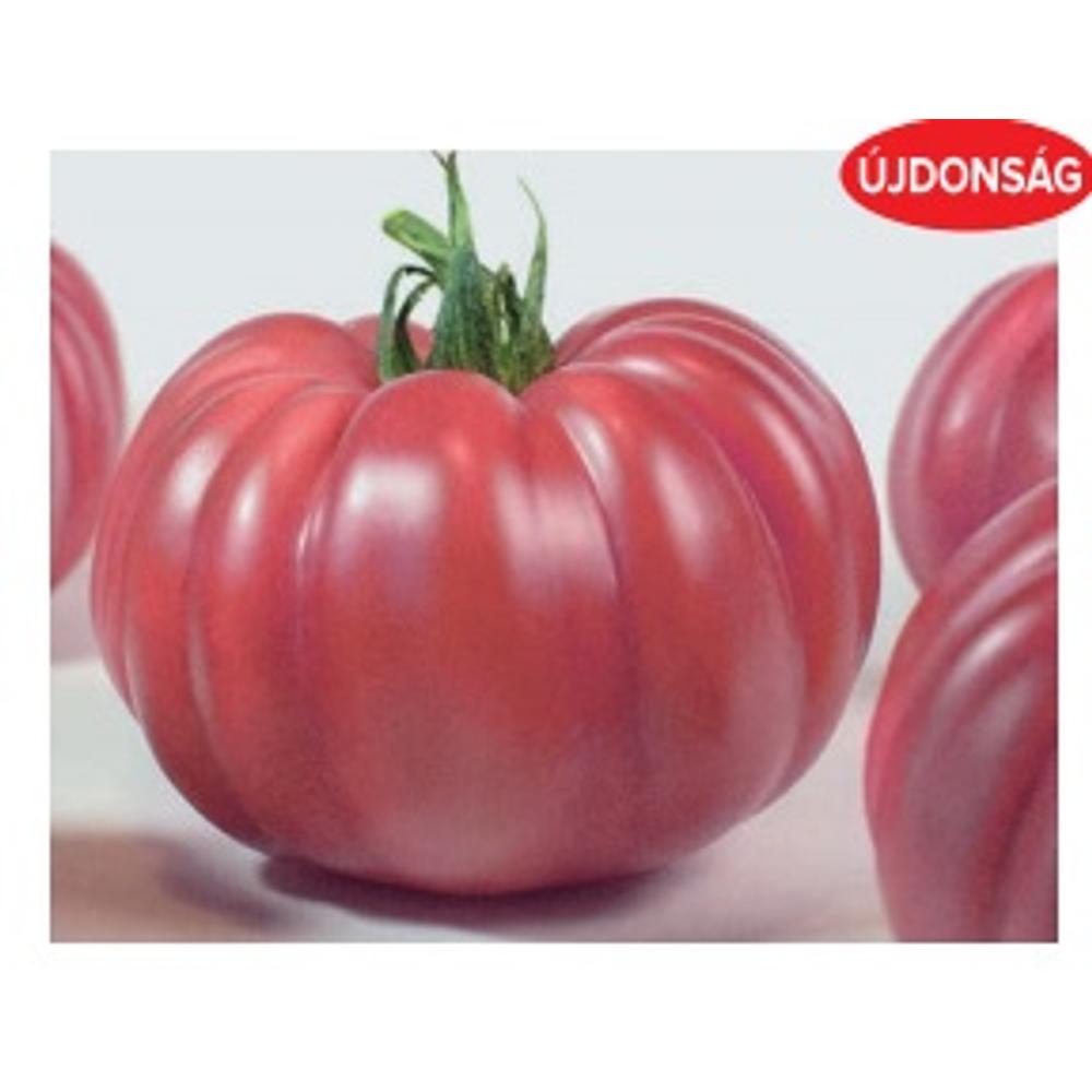 MONTEROSA F1 250 szem - Frisspiaci paradicsom