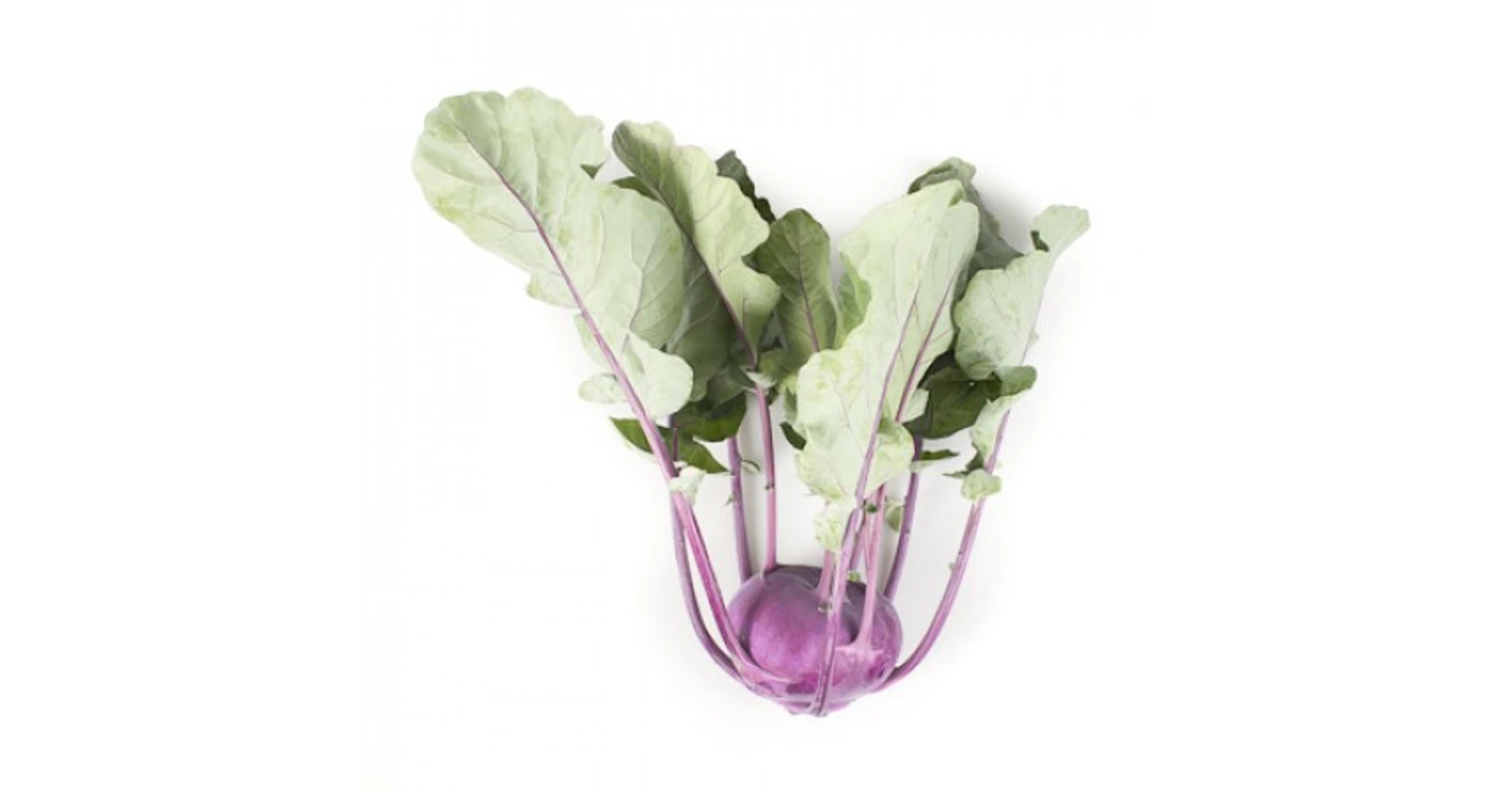 Ukza RZ 2500 szem - Karalábé