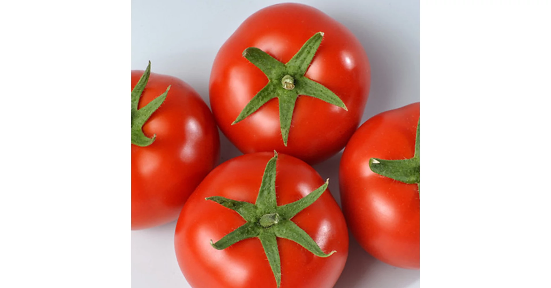 Thomas F1 500 szem - Paradicsom