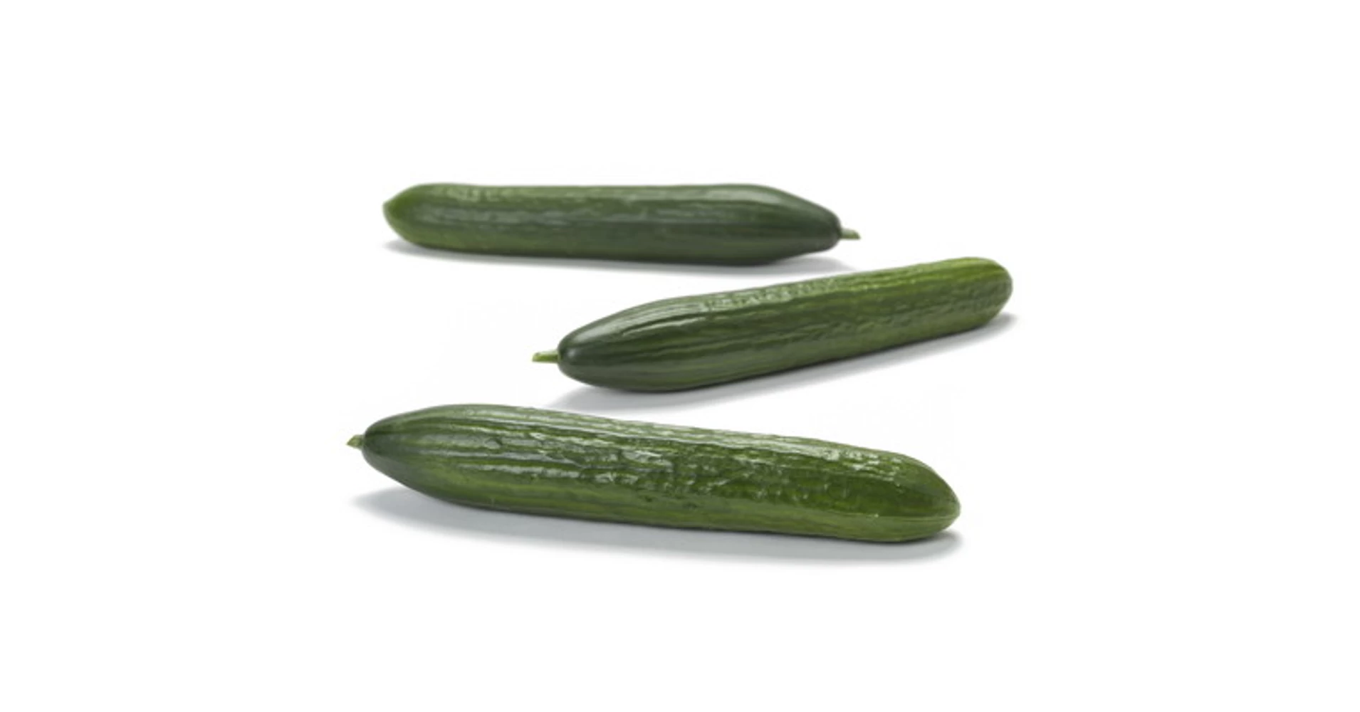 Kodiak F1 kígyóuborka vetőmag 500 szem - Kígyóuborka